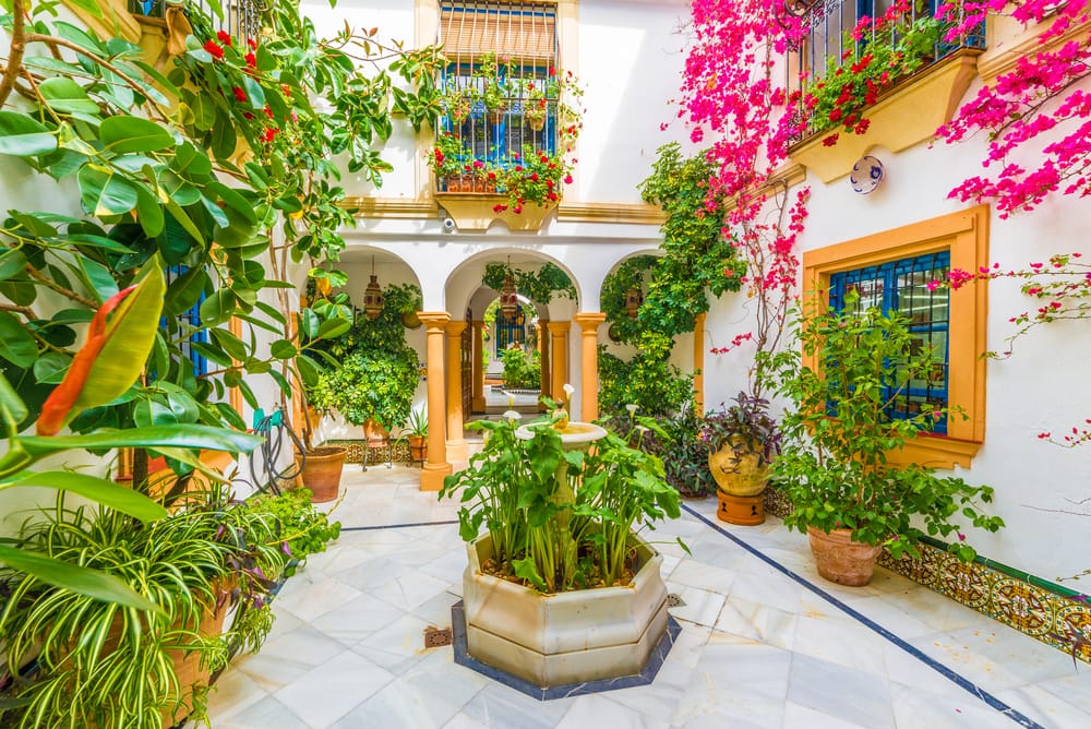 Best Plants for Spanish Gardens and Terraces