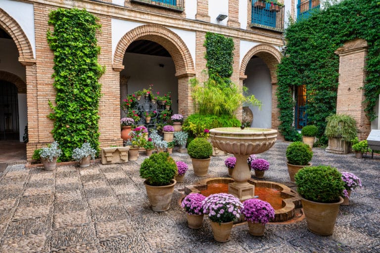 Best Plants for Spanish Gardens and Terraces